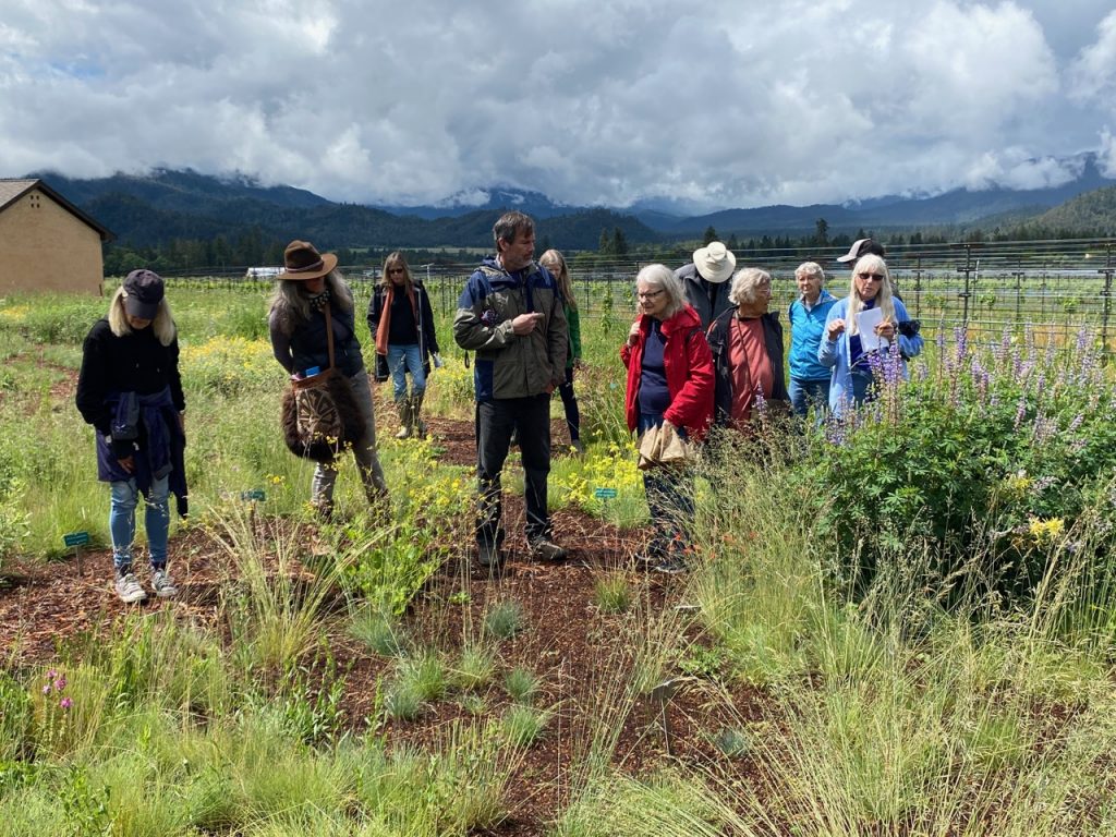 Native Plant and Pollinator Botanical Garden Tour Photos - Klamath ...